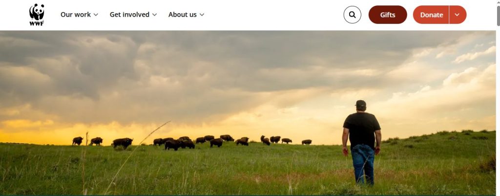 Contoh Desain Header Website Keren di Tahun 2026